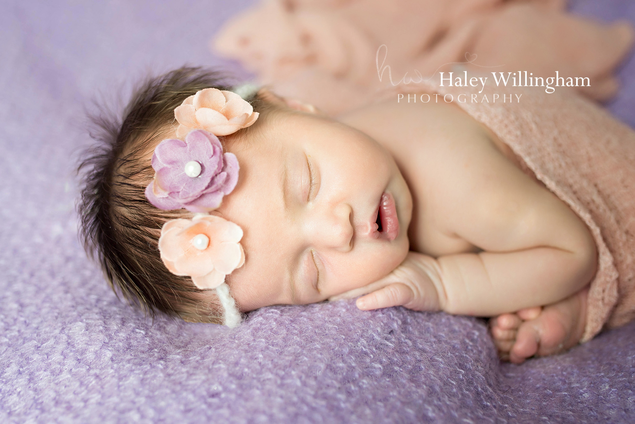 Newborn Photographer Martinsburg WV