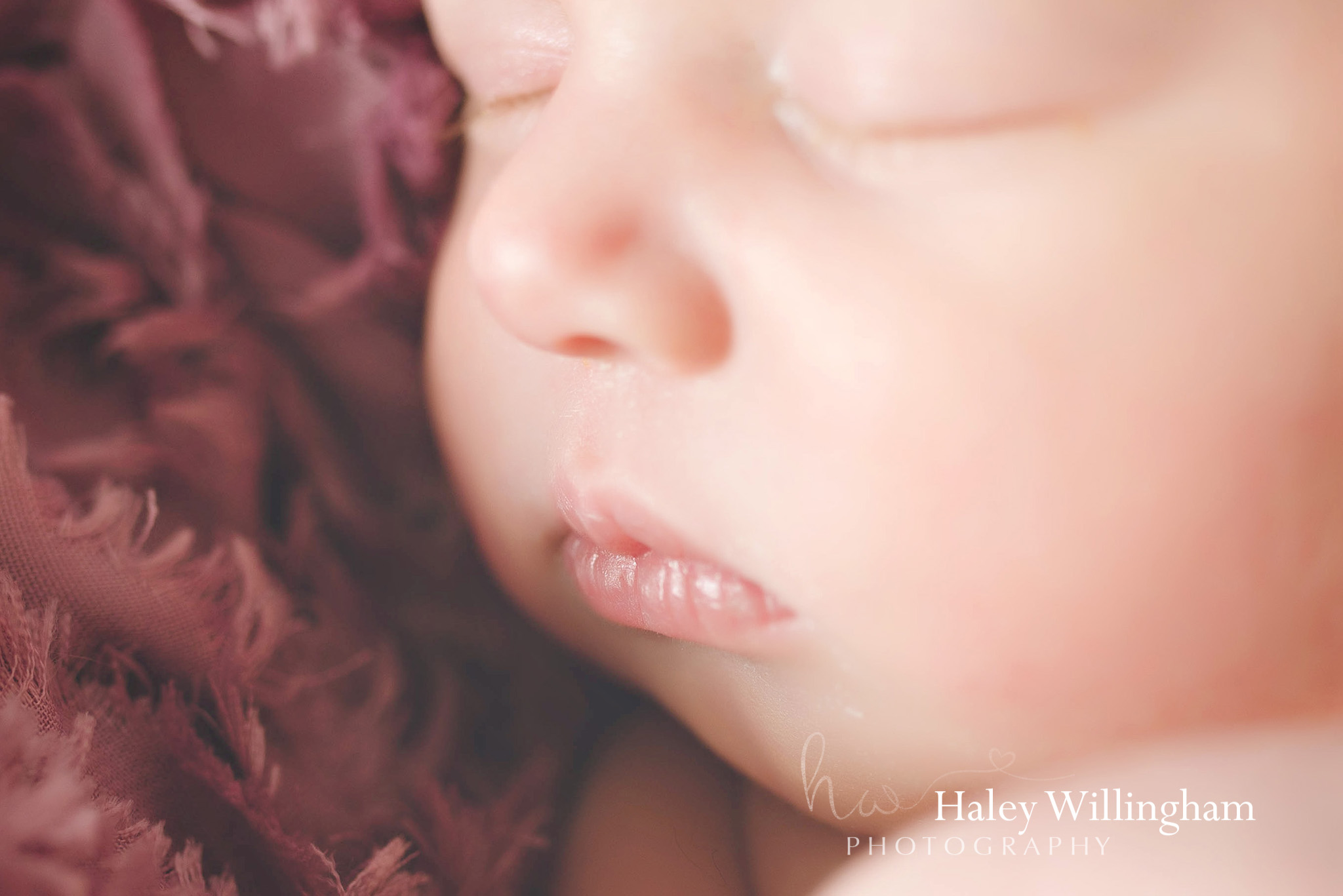 Newborn Photographer Martinsburg WV