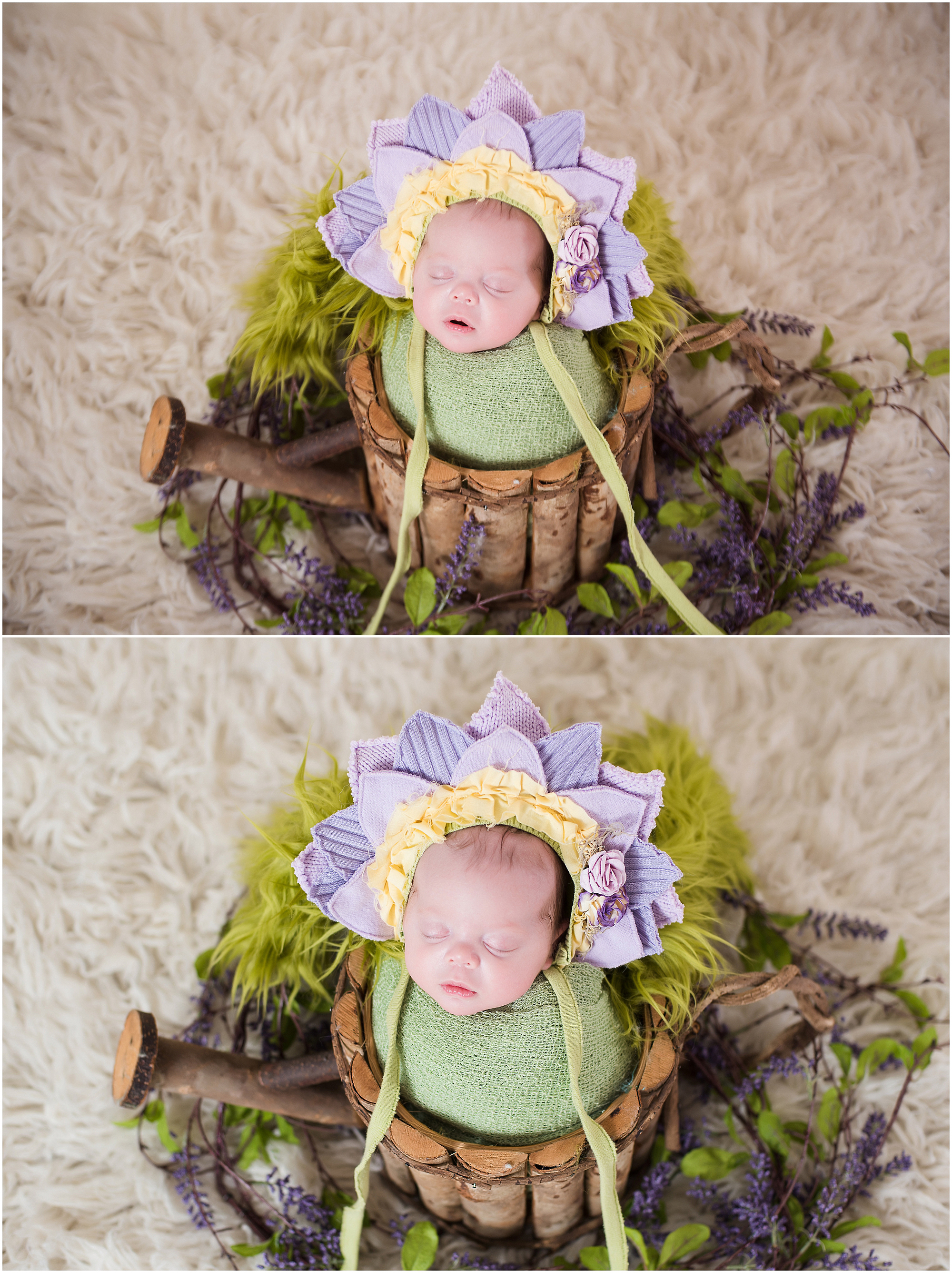 Shepherdstown WV Newborn Photographer - Haley Willingham Photography
